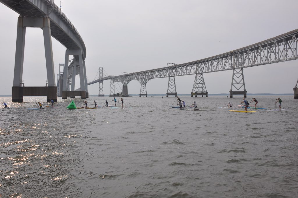 2019 BAY BRIDGE PADDLE | Capital SUP