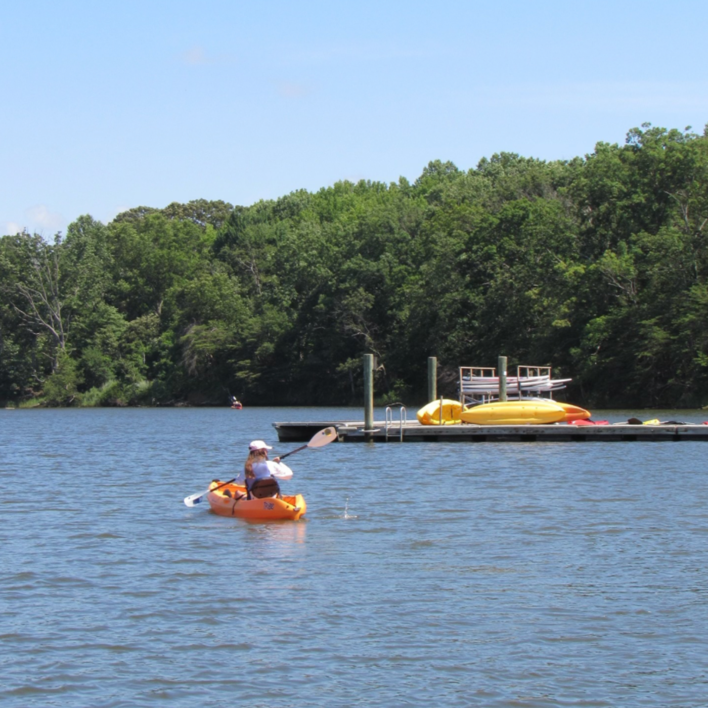 River Sweepers Cleanup Paddle | Capital SUP Annapolis